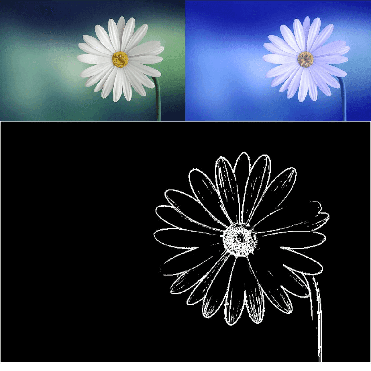 Sobel Filter Project | Suhaan Bhandary